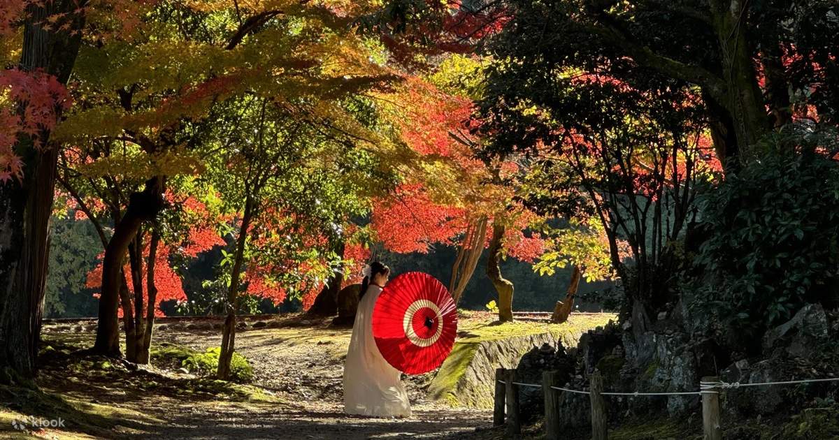 [November and December maple viewing season only] Nagoya Torakeizan ...